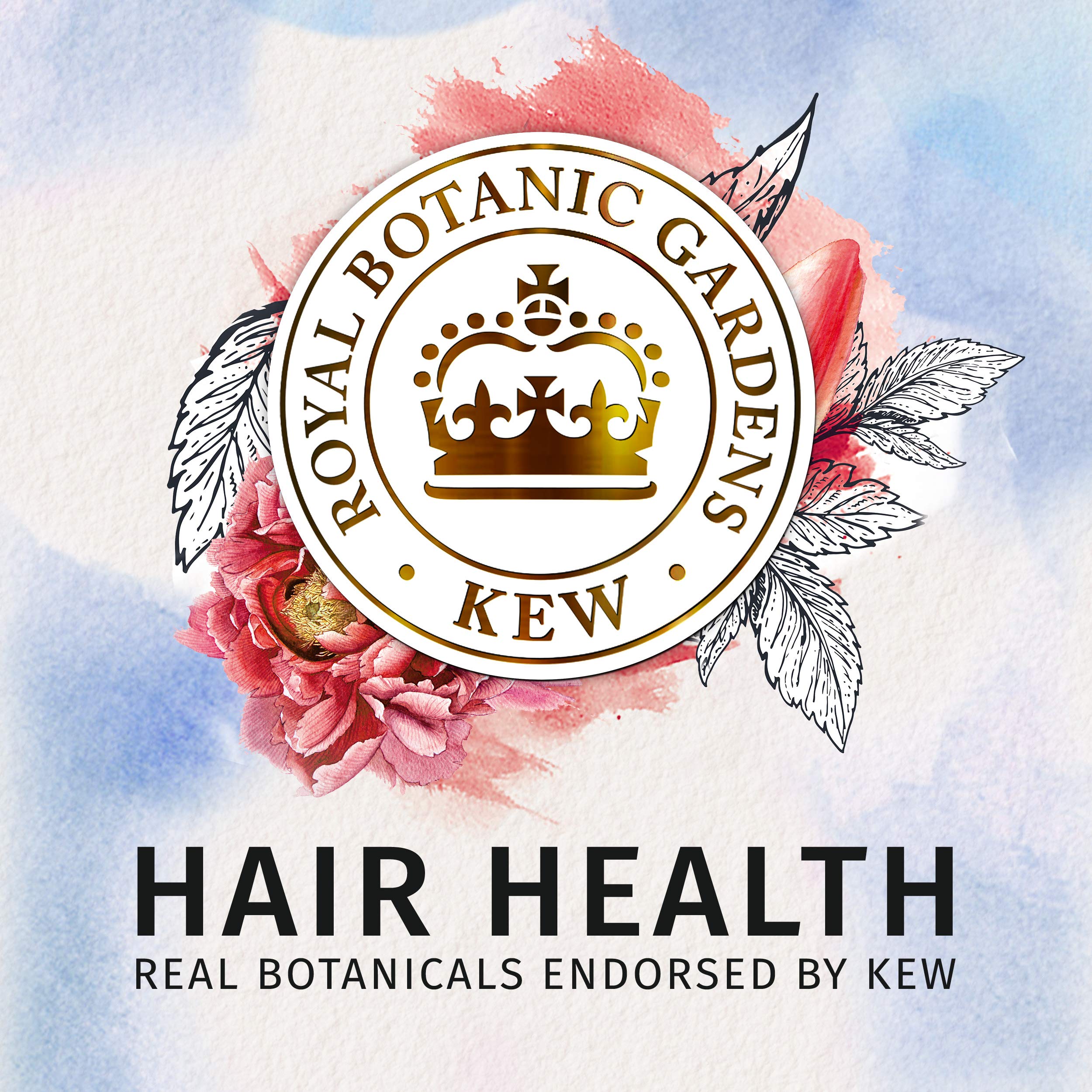 Herbal Essences Bio:Renew Blue Ginger Conditioner, Paraben Free, Safe for Color-Treated Hair, 13.5 Fl Oz