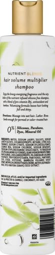 Pantene Nutrient Blends Bamboo Hair Volume Multiplier Silicone Free Shampoo For Fine, Thin Hair, 9.6 Fl oz, 2.583 Fl oz