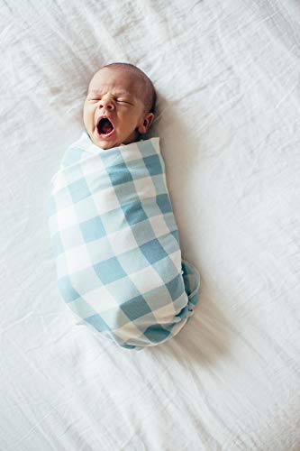 Copper Pearl Large Premium Knit Baby Swaddle Receiving Blanket Lincoln