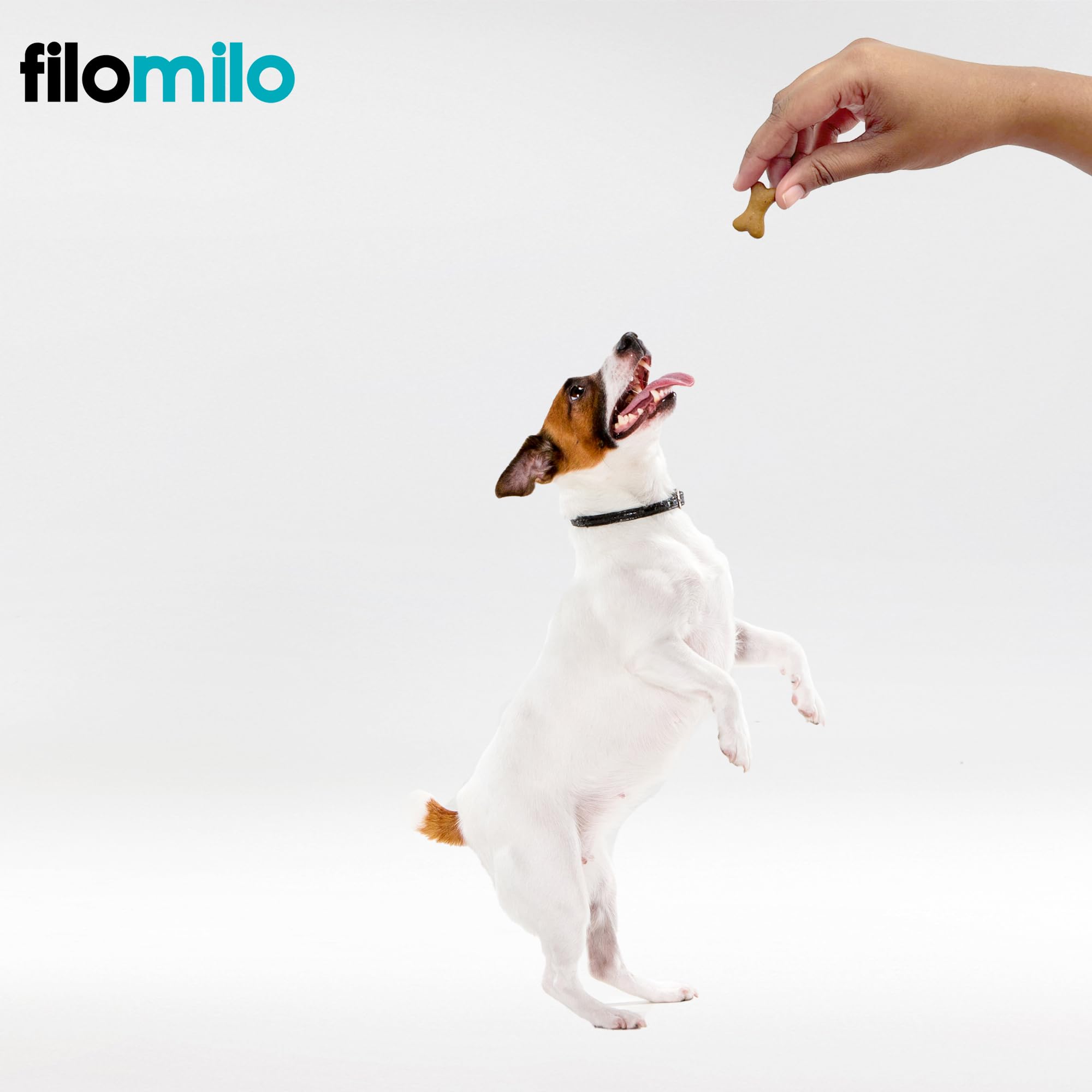 filomilo β Real Chicken Biscuits (Treats) with Ayurvedic Brahmi Powder for All Type of Dogs_17.63 OZ (500 Grams - Chicken Flavour)
