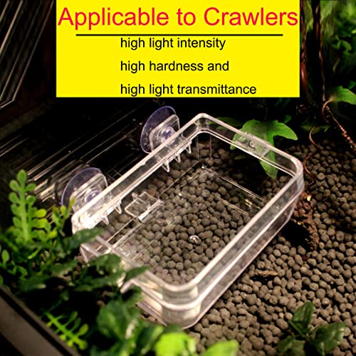 Tfwadmx 2 Pcs Chameleon Bowl, Reptile Feeding Food, Water Dish Gecko Worm Feeder Anti-Escape Chameleon Supplies Accessories for Lizard Bearded Dragon Snakes