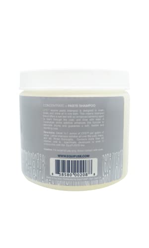 EquiFUSE CFS Concentrate + Paste Horse Shampoo | Formulated for Deep Cleansing and Superior Shine on Hair |100% All-Natural Coat Brightener | 16 oz