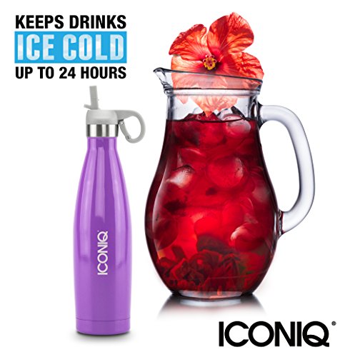 ICONIQ 17 oz Stainless Steel Vacuum Insulated Water Bottle with Pop Up Straw Cap, 17 Ounce (Gloss Purple/Gray)