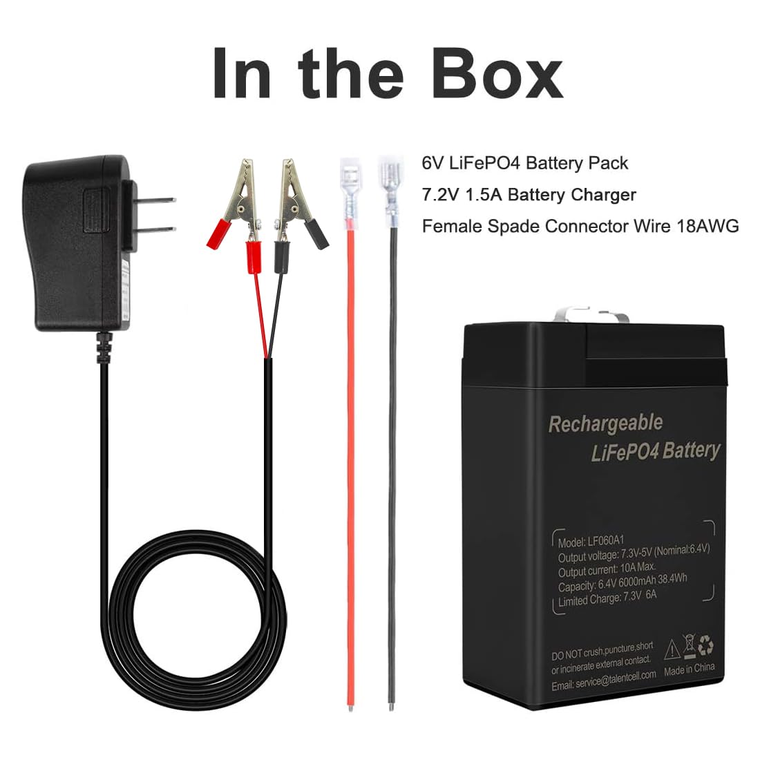 Talentcell 6V 6Ah LiFePO4 Battery Pack LF060A1, 2000 Cycles Rechargeable Lithium Iron Phosphate Battery with Charger