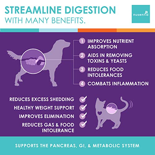 Enzymes for Cats & Dogs : Enzyme Miracle® (100 Servings) : for Digestive Stress, Pancreatic Concerns, and Healthy Weight Management.