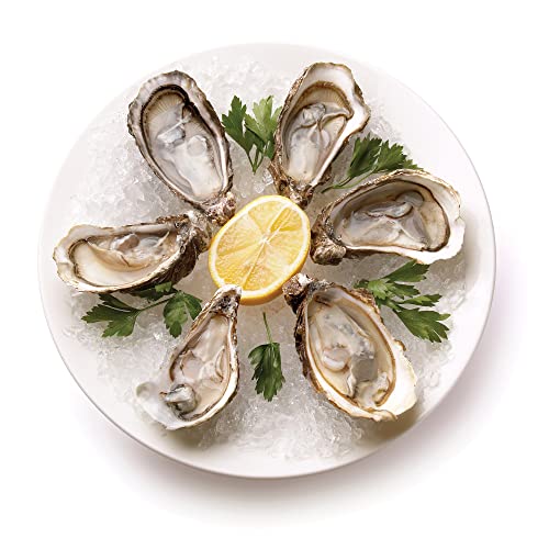 Deglon 6-Inch Oyster Knife, Dune