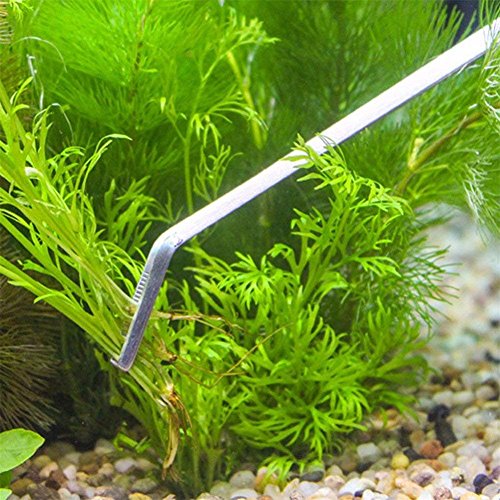 FEITA Aquarium Tweezer Set Long Stainless Steel Curved & Straight Aquarium Feeding Tweezers Scissors Maintenance Tools Kit (3 Pcs)