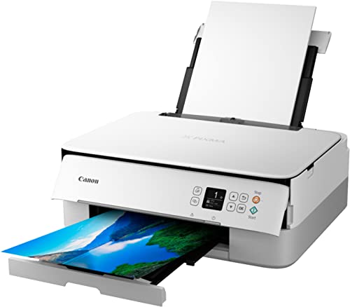 Canon Wireless Pixma Inkjet All in One Printer with Scanner - High Resolution Fast Speed Printing Compact Size Up to 4800x1200 DPI Color Resolution, Bonus Set of NeeGo Ink and 6 Ft Printer Cable