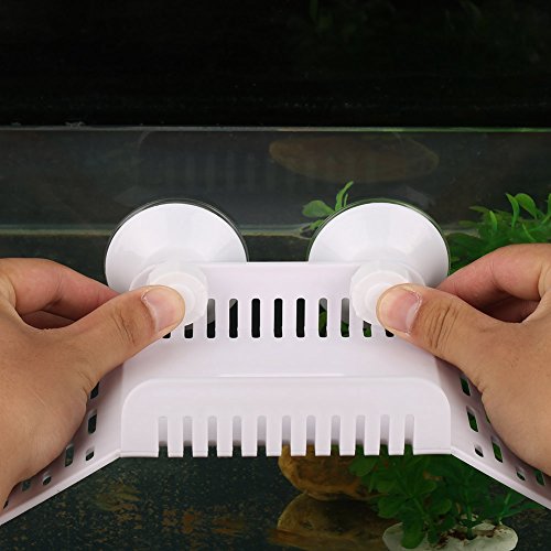 Turtle Basking Platform Climbing Basking Terrace, Aquarium Fish Tank Reptile Turtle Tortoise Floating Platform Amphibians Habitat Décor Dock Pet Supplies White