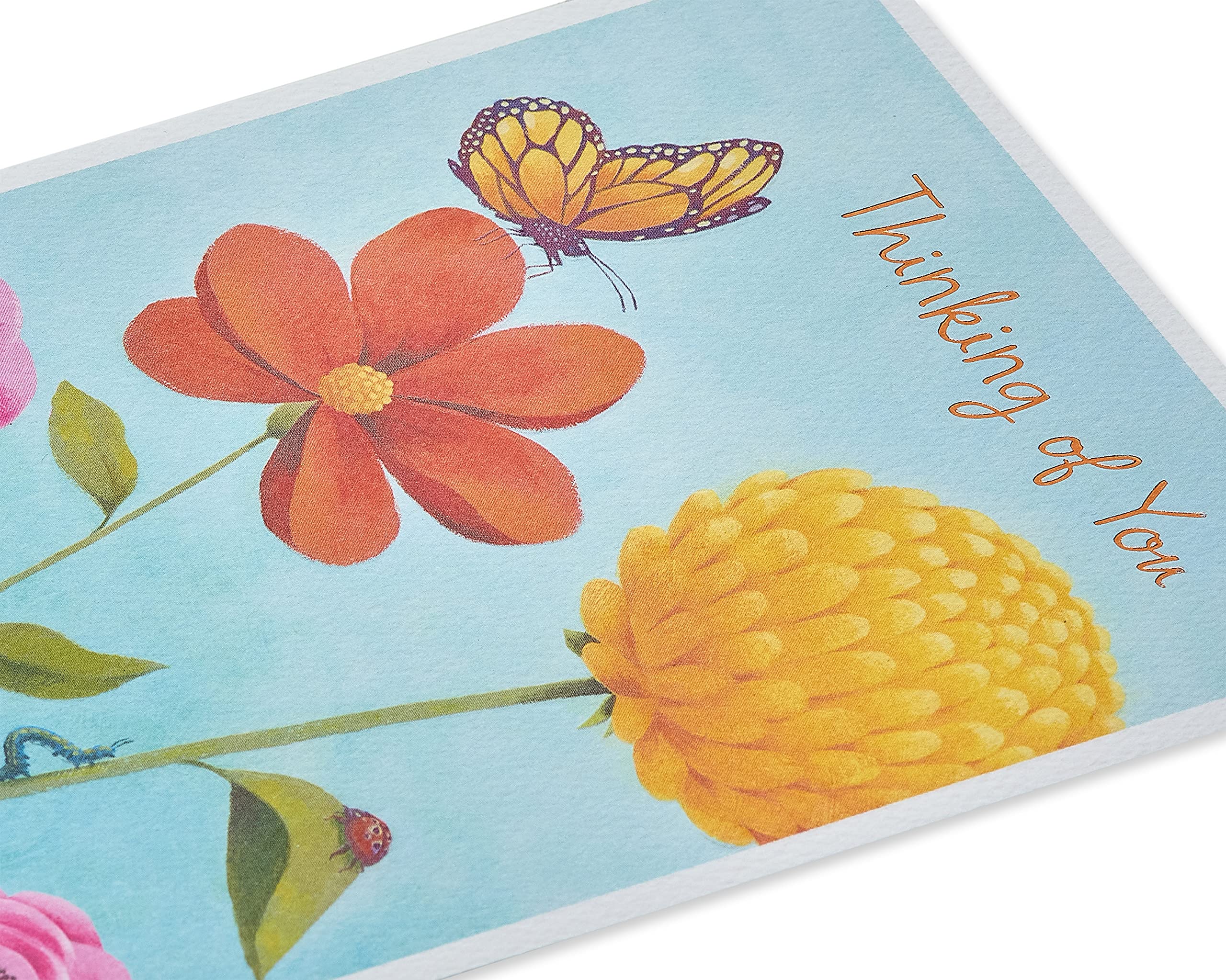 American Greetings Thinking of You Card (Brighten Up Your Day)