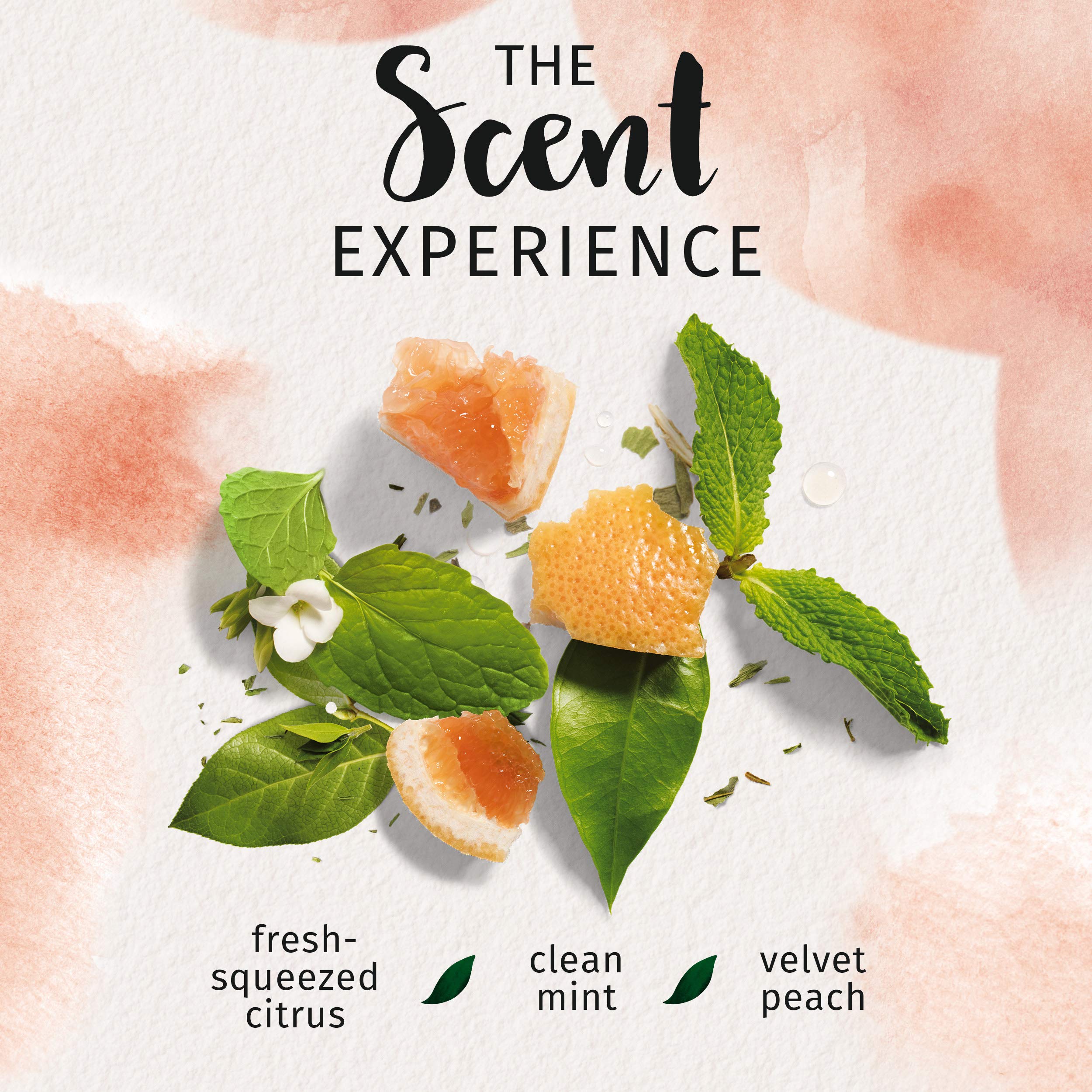 Herbal Essences Herbal Essences bio:renew White Grapefruit & Mosa Mint Shampoo and Conditioner Bundle Pack, 7.695 Fl oz