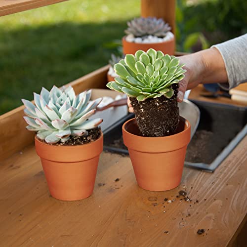 KOAMLY 20pcs 3 InchTerra Cotta Plant Nursery pots Mini Planters with Drains, Succulent Seedling Planters Best Gift for Aunt in Home Office, Window Sill, Wedding Decor