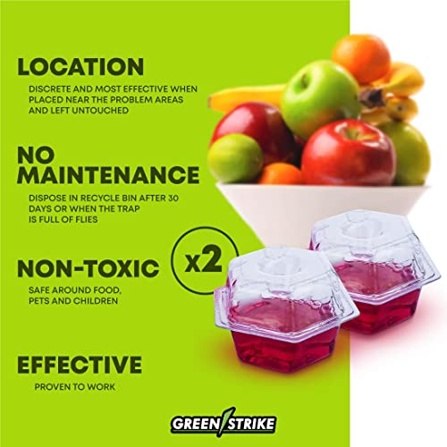 GREENSTRIKE 2-PACK Premium Fruit Fly Traps For Indoors | 2 Pre-Filled Lures Effectively Trap Flies Indoors | Easy Effective and Safe to Use | Food-Based Lure/Bait Catcher | Red