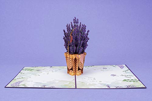 Paper Love 3D Pop Up Card, Lavender Basket, For Mothers Day, Valentines Day, Birthday, All Occasions - 5" x 7" Cover - Includes Envelope and Note Tag