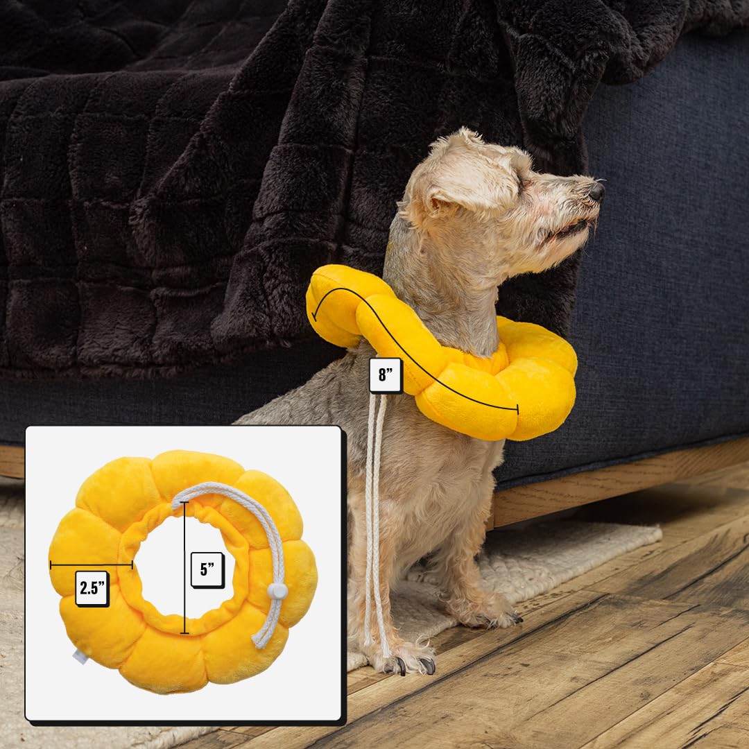 Dog Cones - Adjustable Dog Recovery Cone for Small Dogs - Dog-Friendly Design Dog Cone Collar - Reliable Head and Neck Cone for Dogs - Pet Cone - Dog Cone by Placely