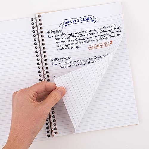 Five Star Small Spiral Notebook, 2-Subject, College Ruled Paper, Fights Ink Bleed, Water Resistant Cover, 6" x 9-1/2", 100 Sheets, Tidewater Blue (06180AA4)