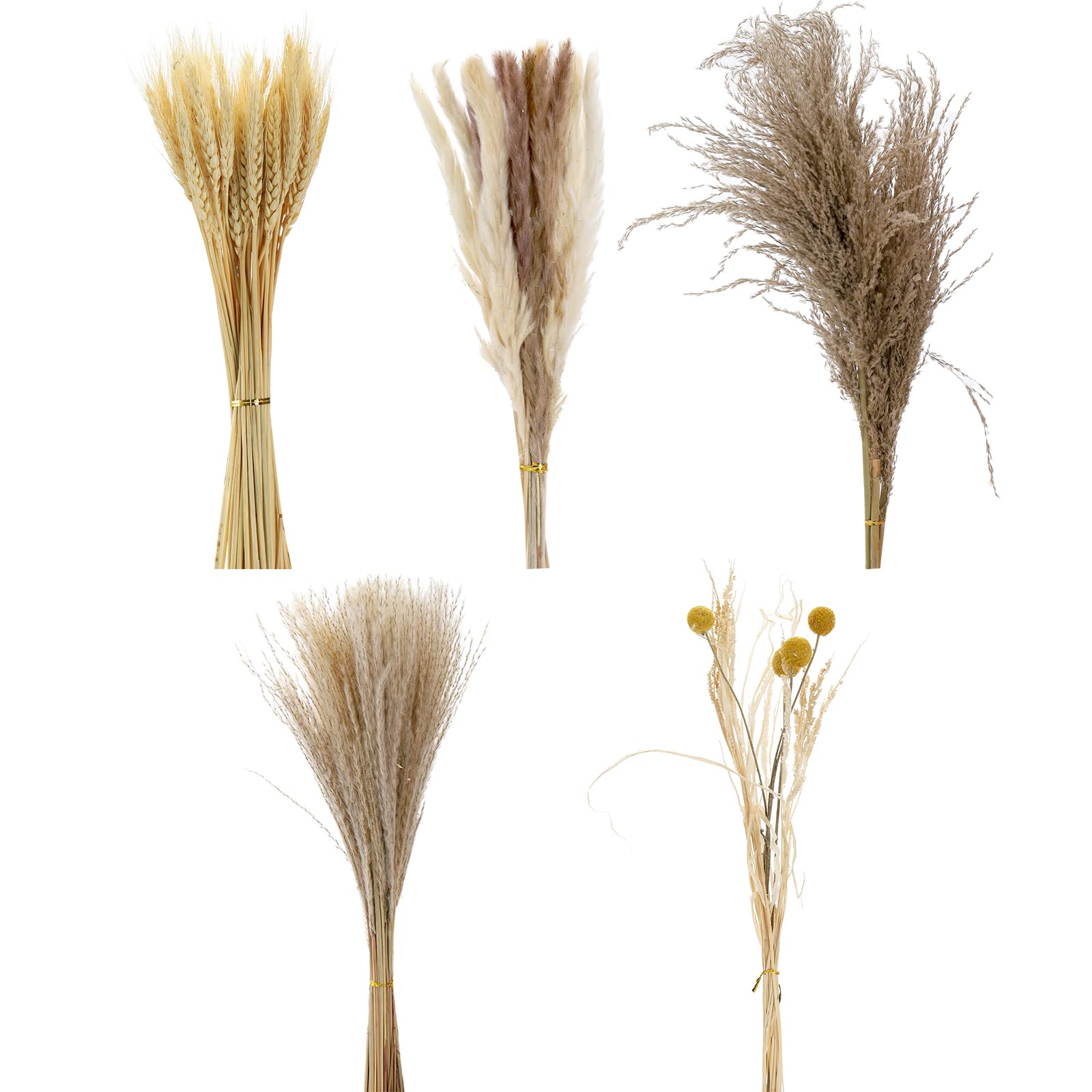 DEAYOU 65 PCS Natural Dried Pampas Grass, 17" Tall Dry Pampas Grass Branches for Boho Decor, Fluffy Pompous Reed Plants Stems Bundle for Flower Arrangements, Home Wedding Decor, 5 Styles