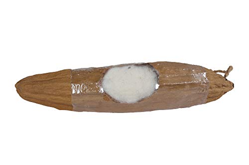Penn-Plax Kapok Pod for Birds and Small Animals – Meets and Satisfies The Various Chewing and Nesting Needs of Tiny Critters