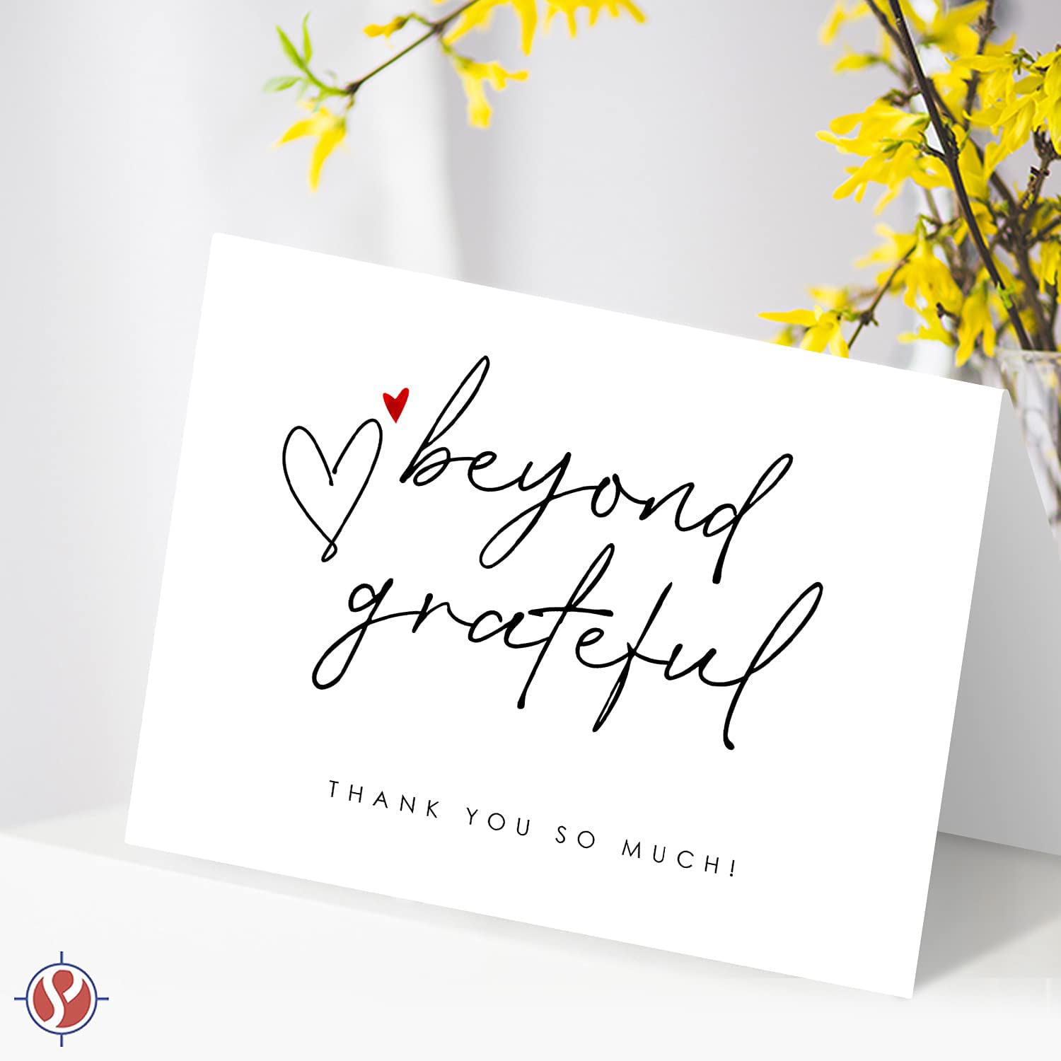 Beyond Grateful – Thank You So Very Much! w/Small Red Heart – Elegant Greeting Cards for Wedding, Christmas, Valentine’s, Bridal Shower, Anniversary – Blank Inside | 4.25 x 5.5” | 10 per Pack