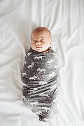 Copper Pearl Large Premium Knit Baby Swaddle Receiving Blanket Grey and White Moose Scout