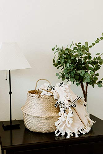 Thirteen Chefs Modern Village Large Woven Basket, 11 Inch Seagrass Belly Basket for Plants