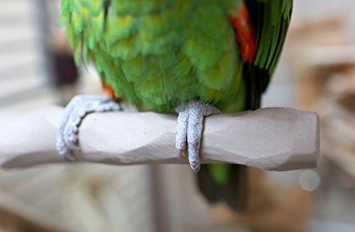 Geo NU Perch® for African Grey, Amazon, Cockatoo, Eclectus