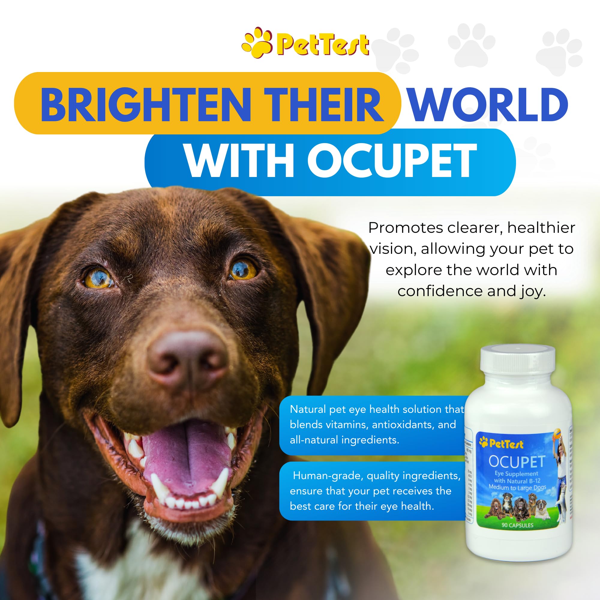 Ocupet Advanced Vision and Eye Health Supplement for Medium to Large Dogs Packed with Natural B12, Grape Seed Extract and Lutein to Support Pets with Diabetes or Eye Related Conditions-90 Capsules