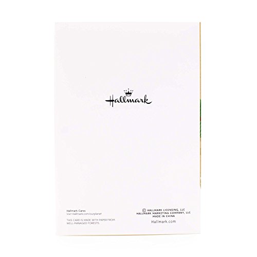 Hallmark Holiday Boxed Cards, Jolly Snowman (16 Cards and 17 Envelopes)