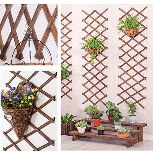 Avalution Extensible Natural Garden Wooden Fence Lattice Frame Plant Support Frame Natural Wooden Lattice Frame for Cucumber Climbing Plant Vines Ivy Rose 75"x11.8" Lattice Fence Panel(2Pack)