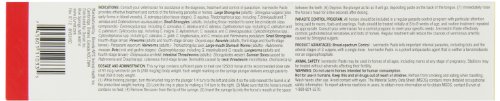 Durvet Ivermectin Dewormer Paste for Horses, 6 Doses, 0.21 oz