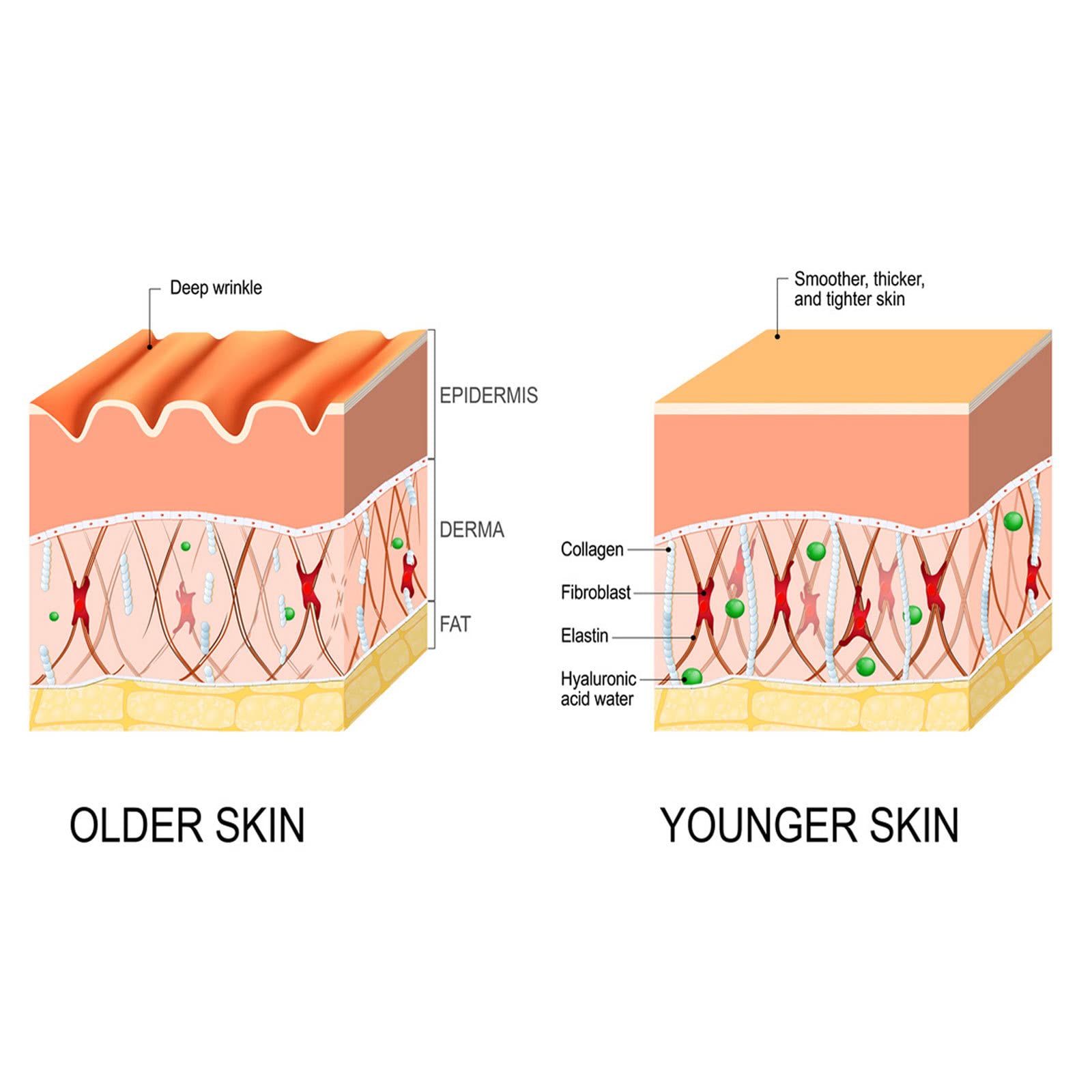 3Pcs Anti-Aging Daily Serum,Advanced Collagen Boost Anti-Aging Serum,Erase lines & WrinklesFirms & Lifts Restores RadianceSmoothes Rough Texture