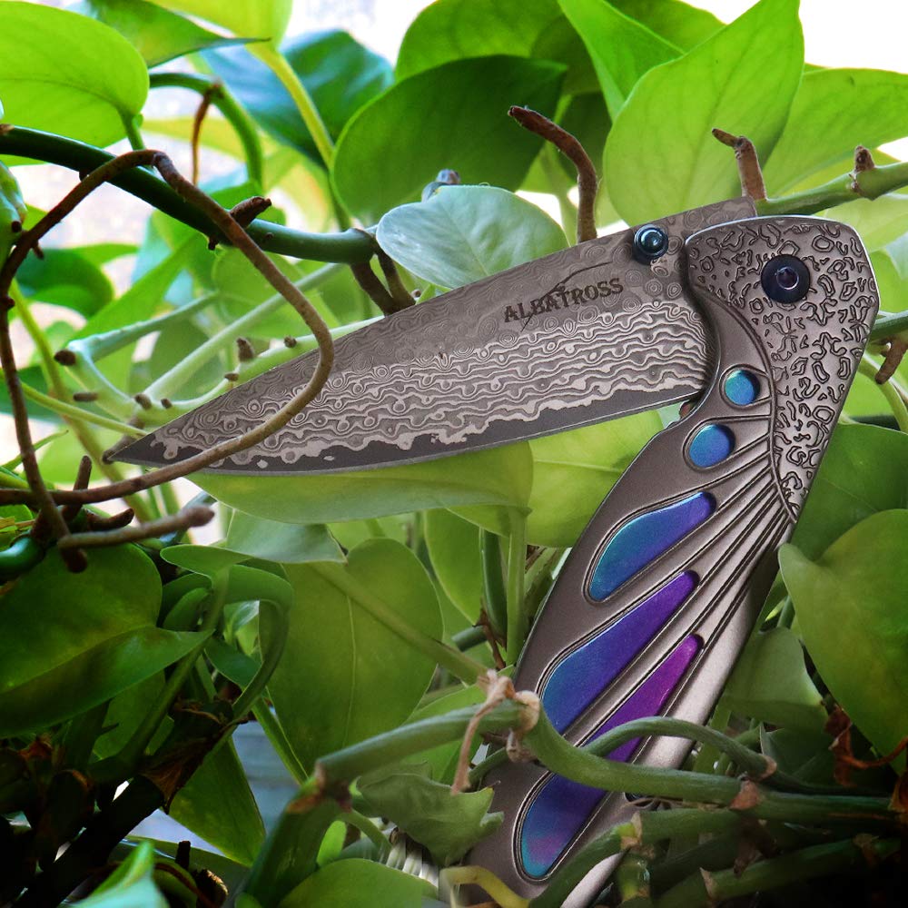 ALBATROSS HGDK026 Practical Sharp Modern Damascus Steel Folding Pocket Knife with Liner Lock for Every Day Use,Gifts/Collections