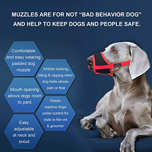 Brilliant Paw Dog Muzzle, Breathable Cloth Muzzle Anti Barking Biting Chewing, Soft Muzzle Dog with Adjustable Velcro, Muzzles for Extra Small, Small, Medium and Large Sized Dog