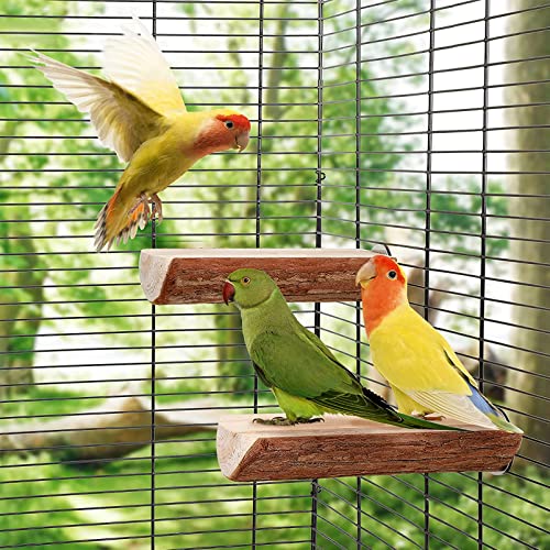 Balacoo Bird Stand Perch Bird Training Stand: Anti-Slip Design: The Surface is Rough, The Bird can Stand Comfortably and Safely, and not Easy to Slip. Paw Grinding Perch
