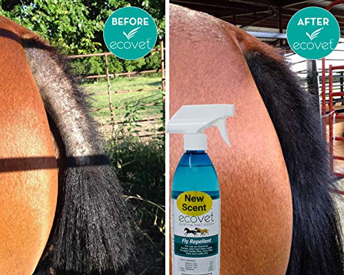 ECOVET Horse Fly Spray Repellent/Insecticide (Made with Food Grade Fatty acids), 18 oz