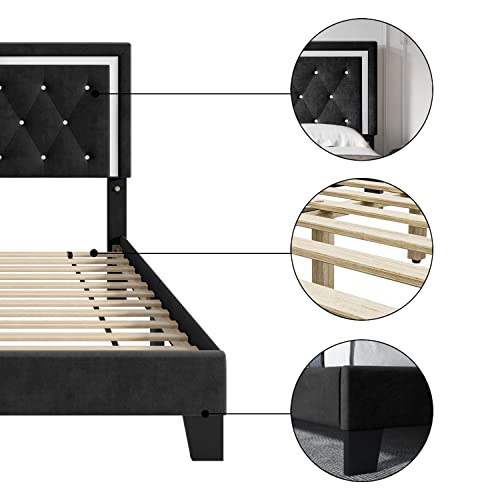 HITHOS Queen Bed Frame, Upholstered Platform Bed Frame with Modern Adjustable Headboard, Diamond Tufted Mattress Foundation with Wooden Slat Support, No Box Spring Needed, Easy Assembly (Queen, Black)