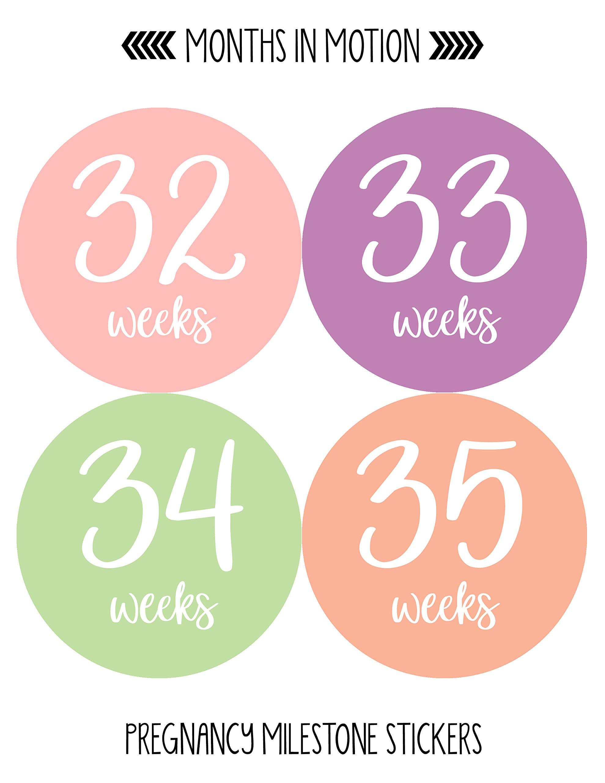 Months In Motion Pregnancy Weekly Belly Growth Stickers, 36 pcs - Purple Pink, Matte Finish, Cloth Surface, for Maternity Photo Sessions & Keepsakes