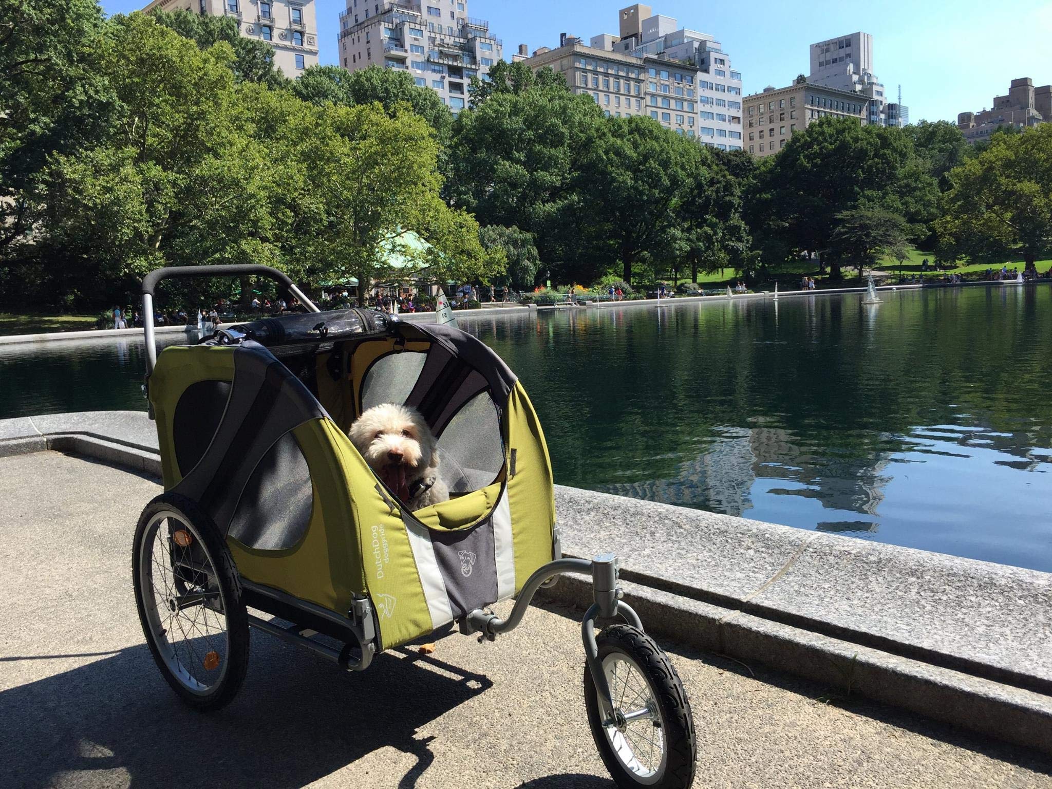 DoggyRide Novel Dog Jogger-Stroller, Outdoors Green