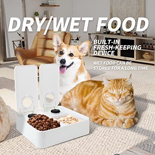 All for Paws Automatic Cat Feeder 2 Meal Dog Feeder, Dry and Wet Food Dispenser with 48-Hour Timer, Ice Pack Included, Dishwasher Safe
