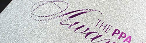 MirriSparkle Silver Glitter Cardstock Paper from Cardstock Warehouse 8.5 x 11 inch- 16 PT/280gsm - 10 Sheets