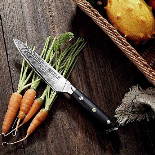 PAUDIN Utility Knife, 5'' Paring Knife, Damascus Kitchen Knife, 67-Layer Forged Blade Ultra Sharp Edge, Stainless Steel Knife, Full Tang G10 Handle with Triple Rivets, for Cutting Fruit and Vegetables