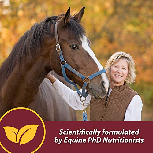 Farnam Laser Sheen Skin & Coat Supplement for Horses, Promotes Healthy Skin & Radiant Coat from The Inside Out, 7.5 Pound, 60 Day Supply