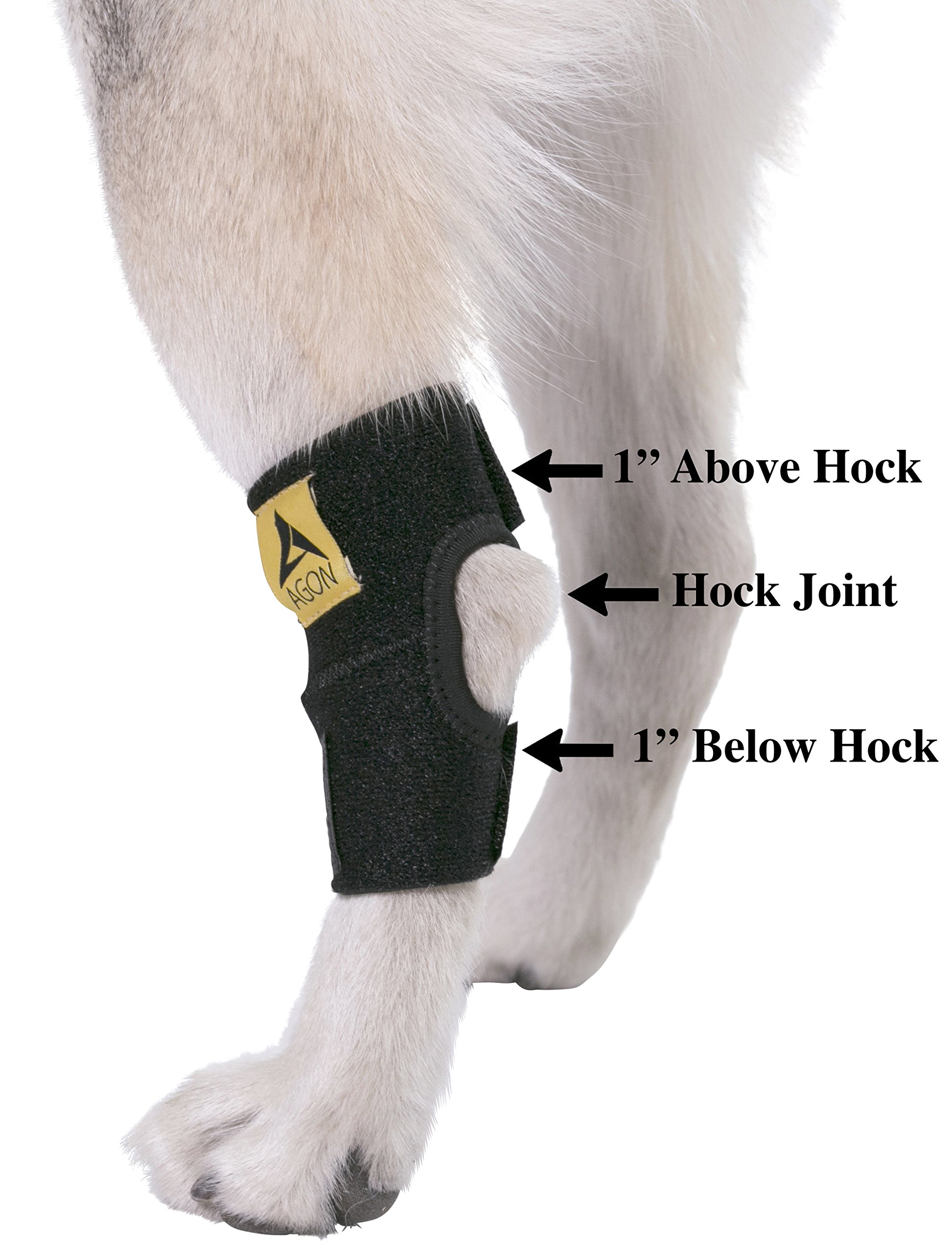 Agon® Dog Leg Braces For Back Leg wrap hock compression protects wounds and helps heal hind legs rear ankle joint, preventing injuries, sprains providing stability for dogs, canines arthritis (Medium)
