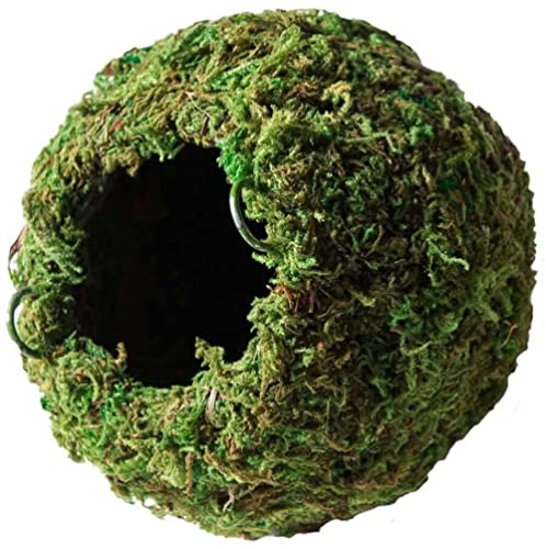Galapagos 05344 Mossy Cave with Holes for Aquarium, 7.5", Green (759834053446)