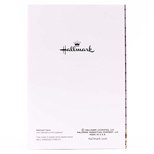 Hallmark Thanksgiving Cards Assortment, Fall Icons (6 Cards with Envelopes)