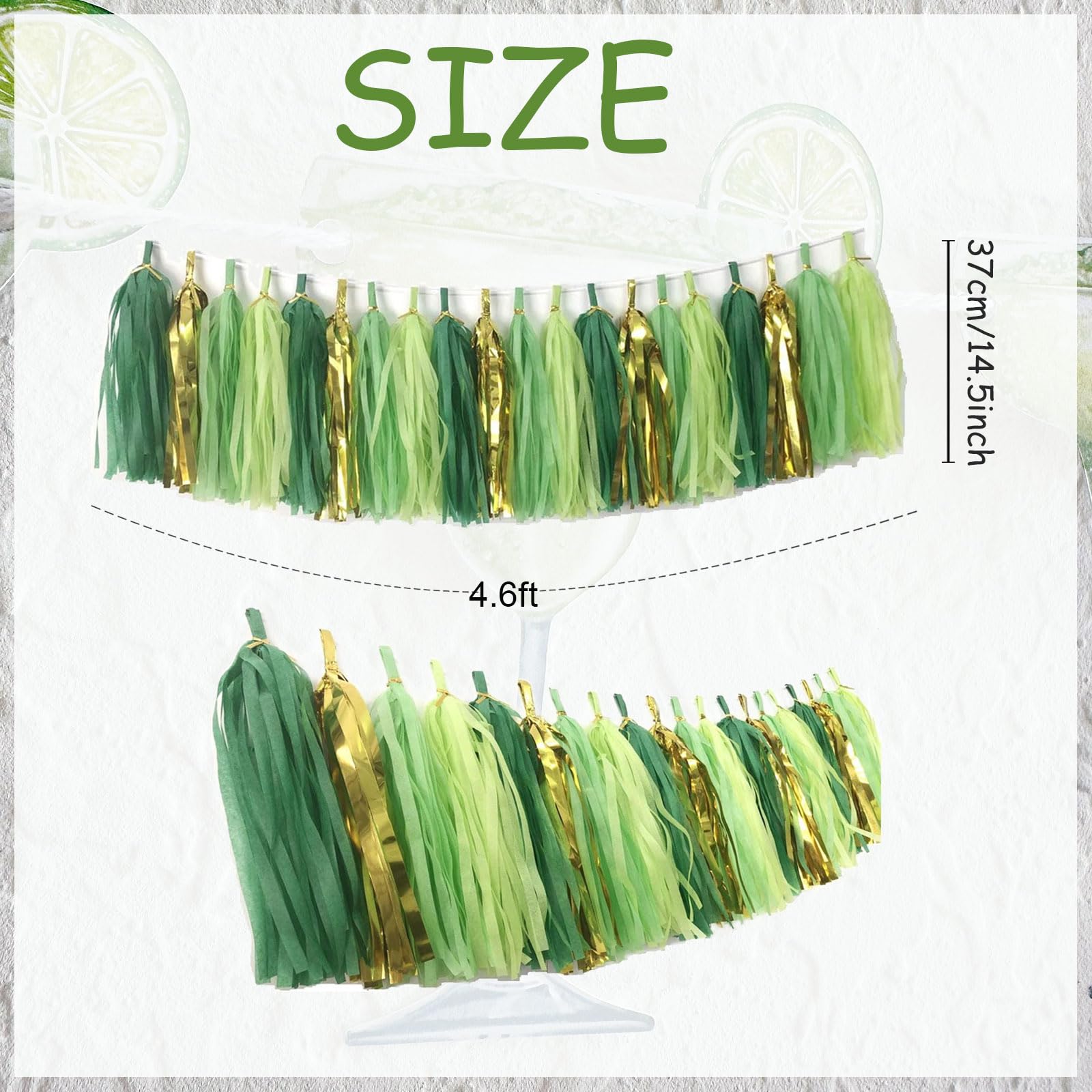 A Tini Bit Older Birthday Decor Banner, a Tiny Bit Older Martini Themed Party Decorations Party Supplies Banners and Tassel Garland