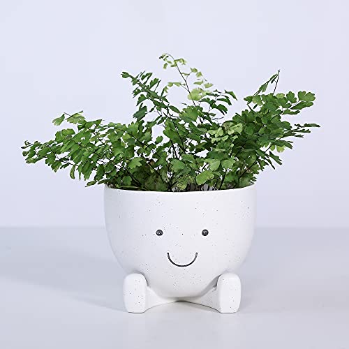 AIMEBBY Face Flower Pot Face Head Planter for Indoor Plants Succulent Planters with Drainage Hole Resin Planter 4 Inches