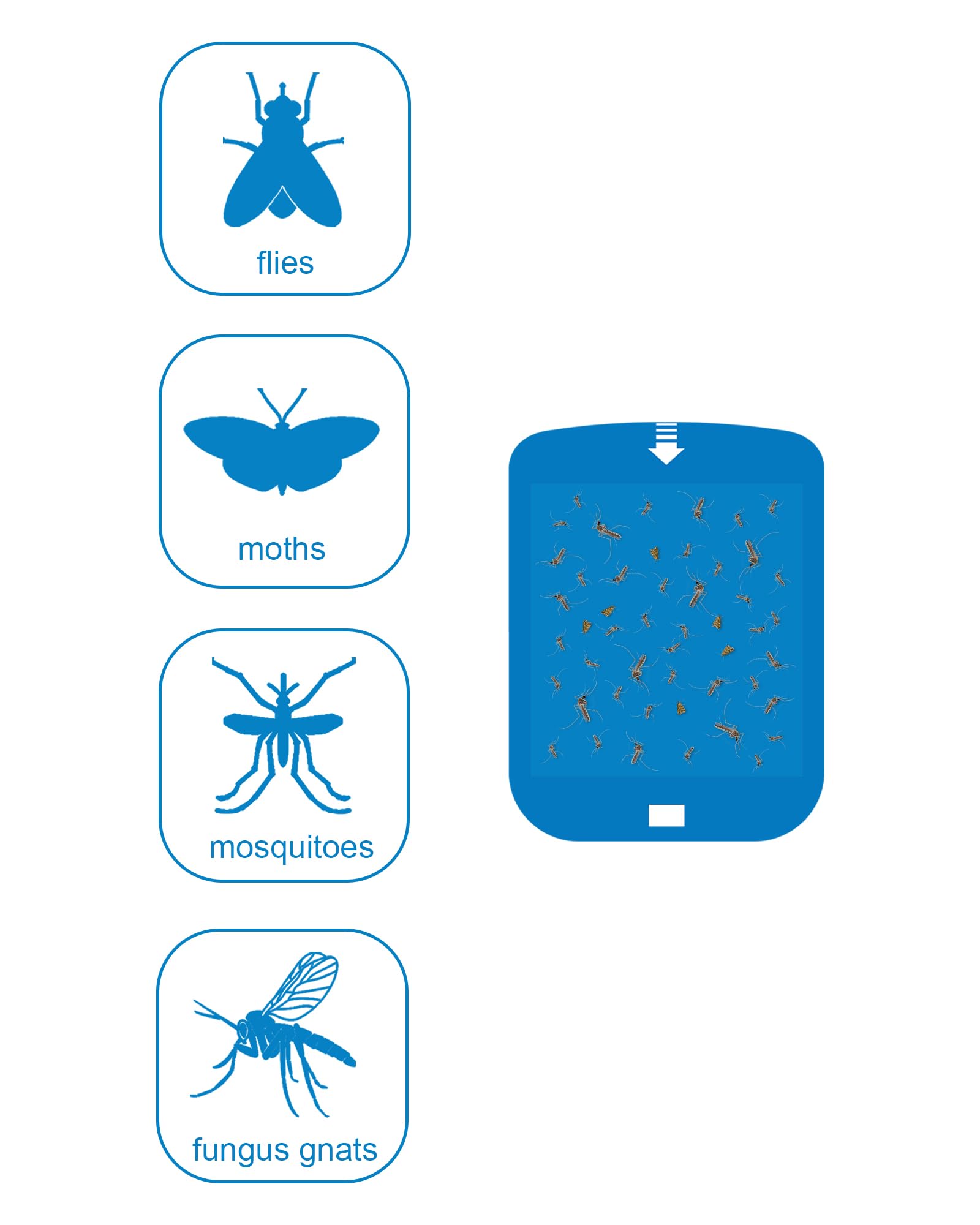 Dichroma 8 Pack Refill Cartridges for Blue Light Plug-in, Compatible with Flying Insect Light Trap for Fly Bug Mosquito Gnat Indoor