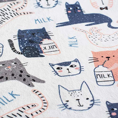 Hofasiii Unisex Boy Girl Lightweight Comfortable Super Soft Plush Minky Baby Blanket in 30ββx40ββ ,Newborn Receiving Baby Cat Blankets with Dotted Backing