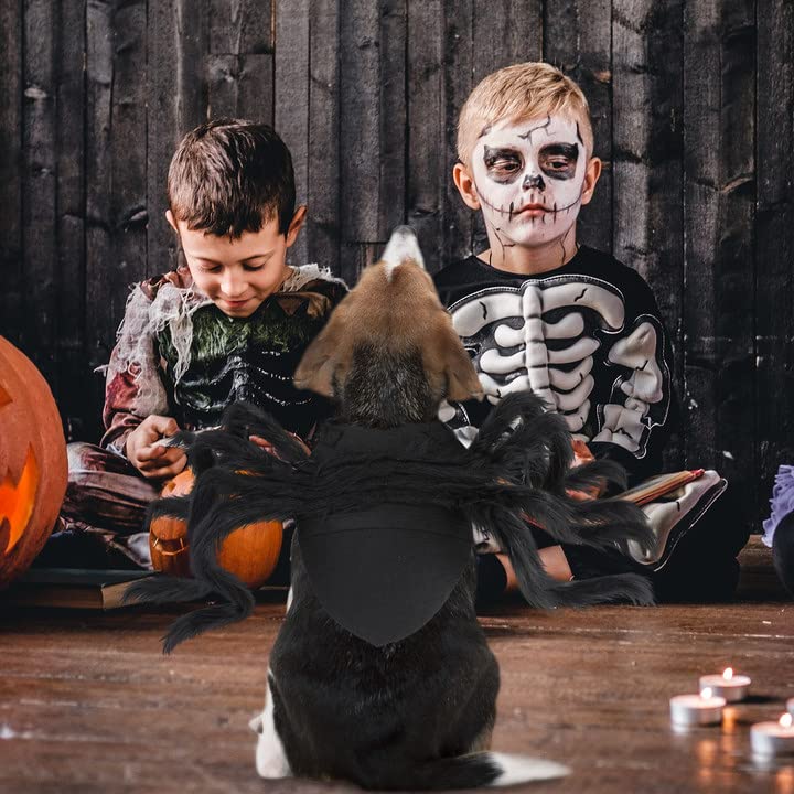 BWOGUE Halloween Pet Costume Spider Cosplay Apparel Dog Cat Spider Costume for Party Costume for Small Medium Dog Costume,Large